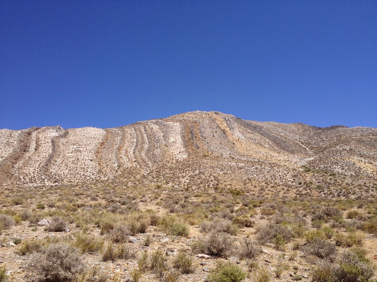 Exploring and Informing: Striped Butte Fossils and Spring Flora