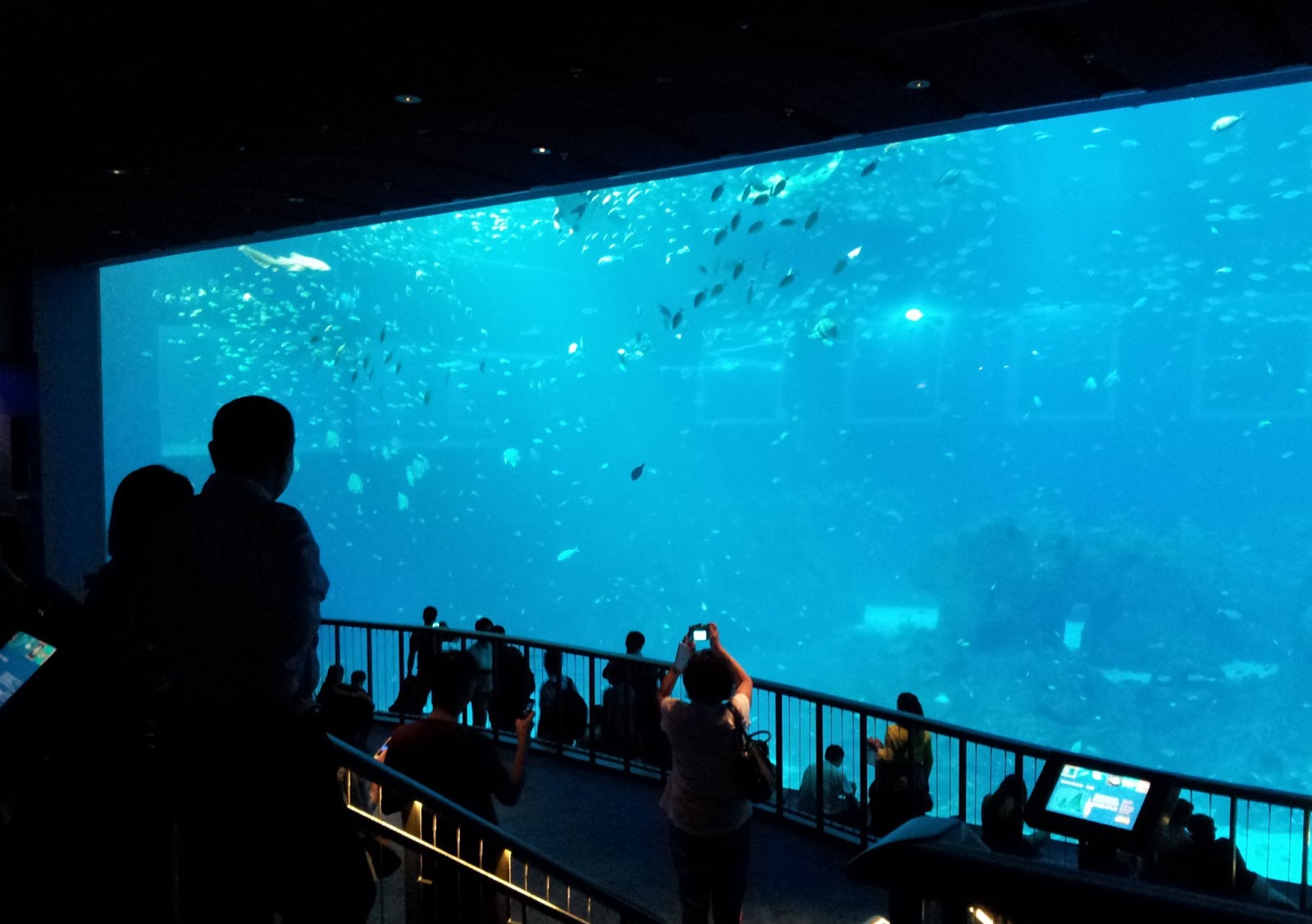 Singapore Itinerary (4 days) | Eat. Travel. Photography