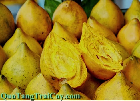 LEKIMA – BỔ NHƯ TRỨNG GÀ ~ THẾ GIỚI TRÁI CÂY TƯƠI