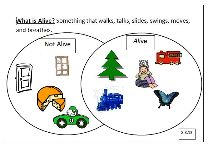 Terrace End School Room 5: What is Alive?
