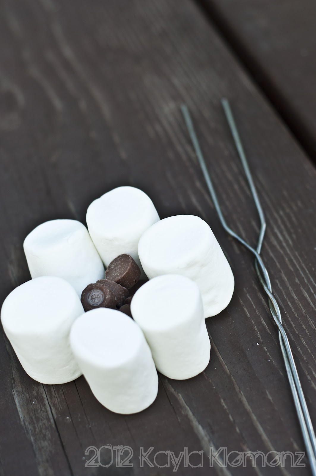 Art Speaks Louder Than Words...: The Best Way to Roast Marshmallows!