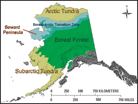 Alaska's Boreal Forest