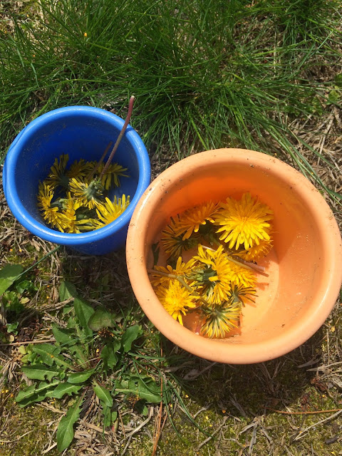 Take Time for Today: Fun Spring & Summer Outdoor Activities: Our Family ...