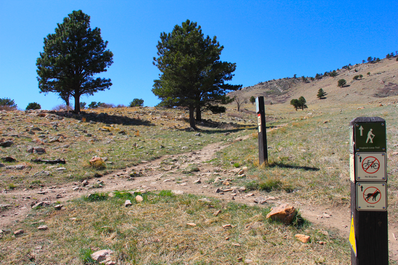 Colorado Lifestyle: Hogback