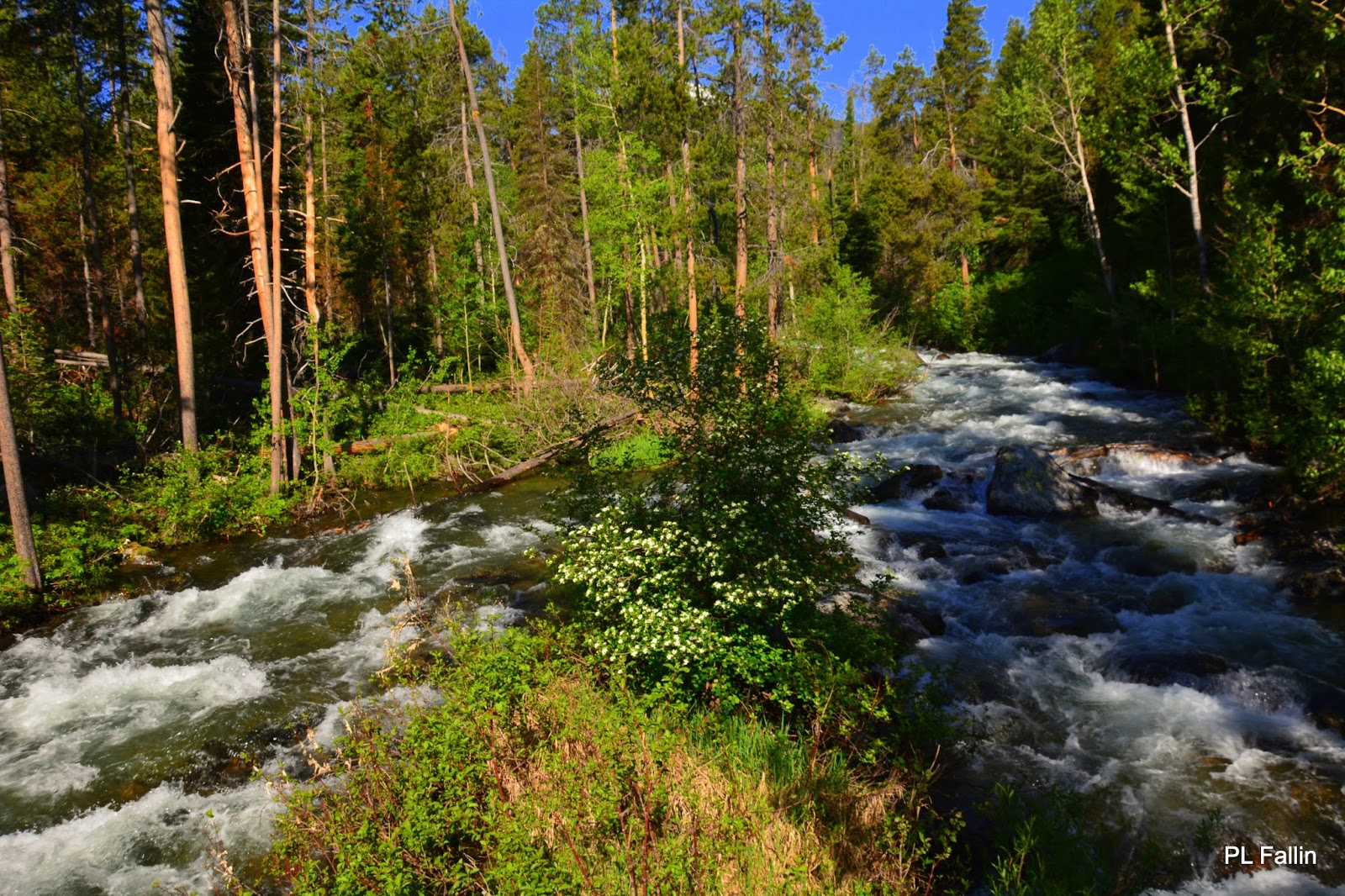 PL Fallin Photography: Sawmill Pond Overlook at Moose-Wilson Road