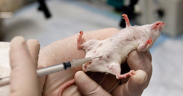 FISIOPATOLOGÍA UNIVERSIDAD RÓMULO GALLEGOS: EXPERIMENTACIÓN CON ANIMALES