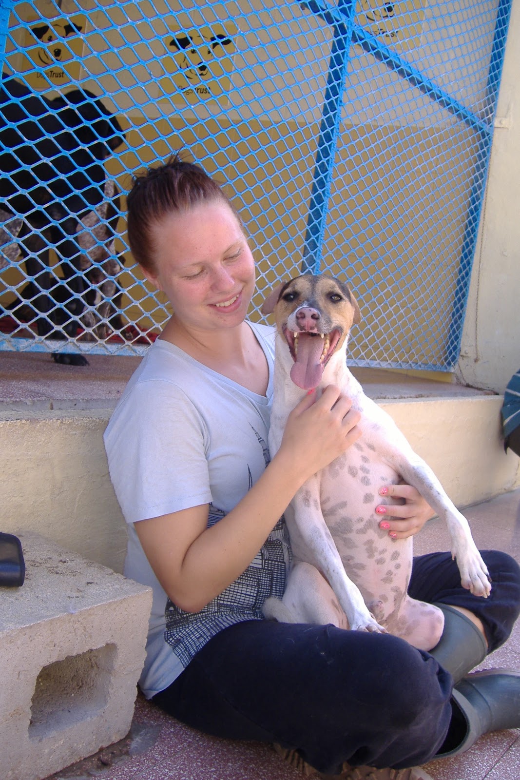 Praktik på SPCA malta