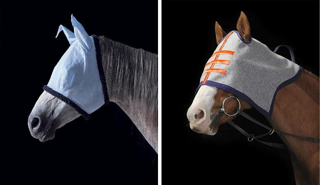 The Reel Foto: Tim Flach: Equus or the Beauty of the Horse