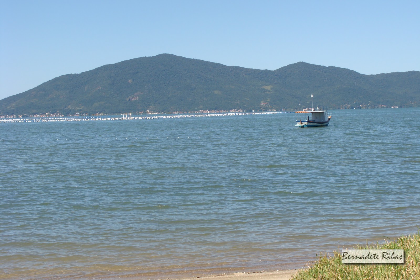 FOTOS DA BERNA: Enseada de Brito - Praia de fora