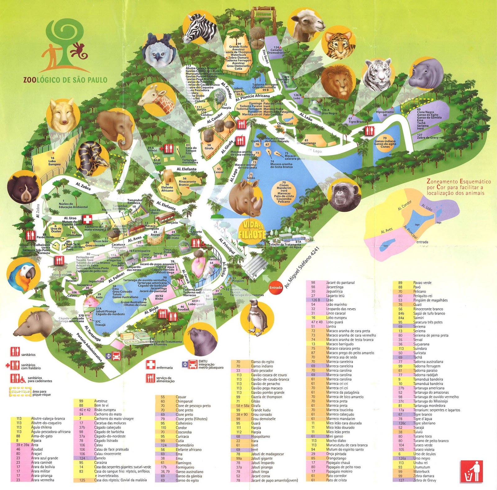 Mapa Do Zoologico De Denver RS: Zoológico Vai Cuidar De Filhote