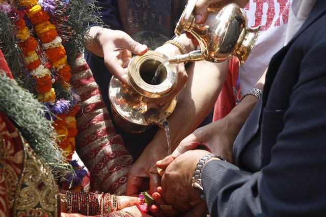 Jhyali - JungleKey.in Image