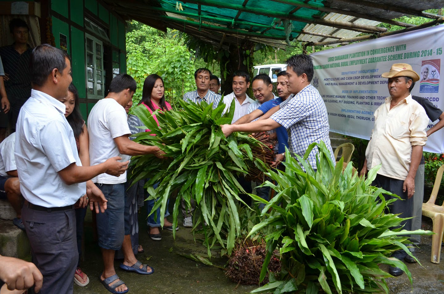 Sikkim NOW!: Large cardamom plantation to be developed under MGNREGA ...