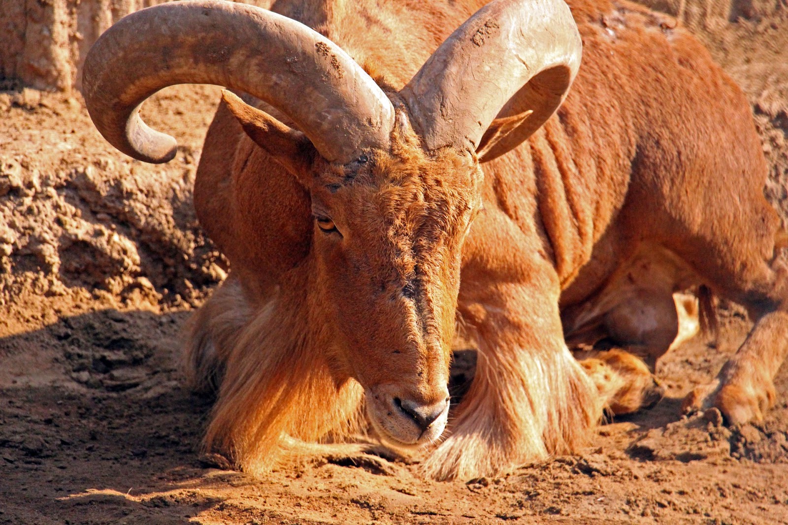 the viewing deck: Tourist Spots to Visit in State of Kuwait