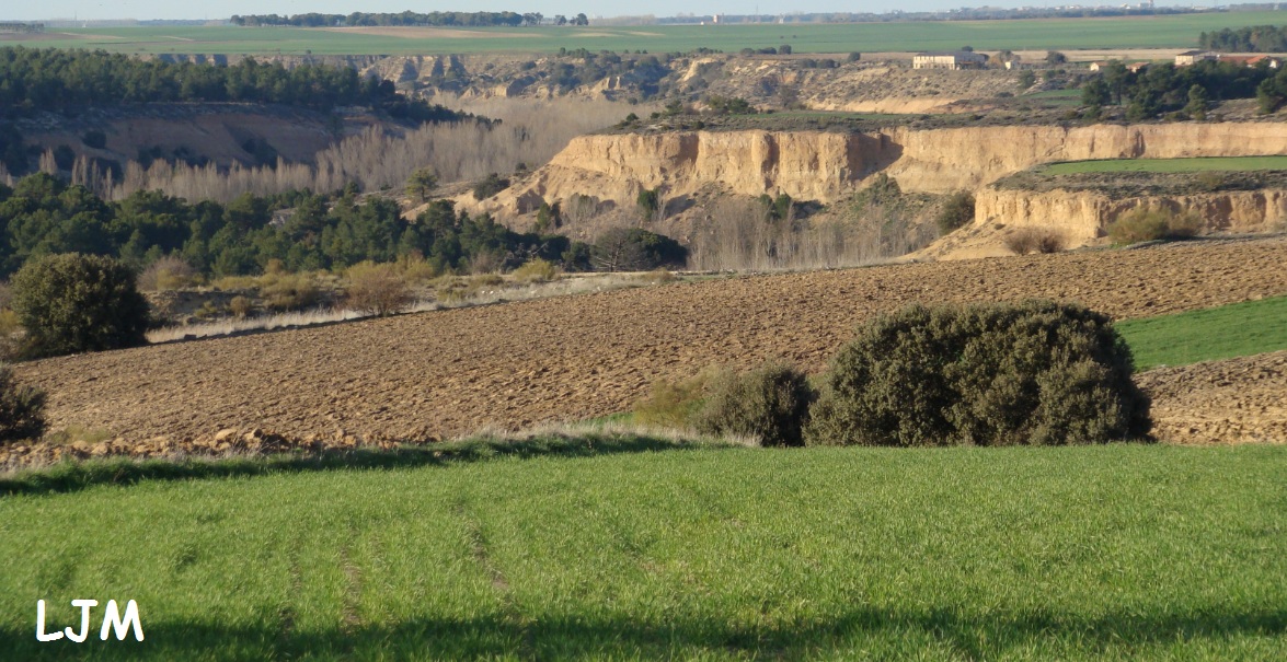 Arévalo, naturalmente: CORREDOR DEL ADAJA