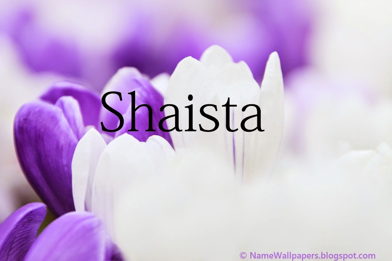 Shaista Name Wallpapers Shaista ~ Name Wallpaper Urdu Name Meaning Name ...