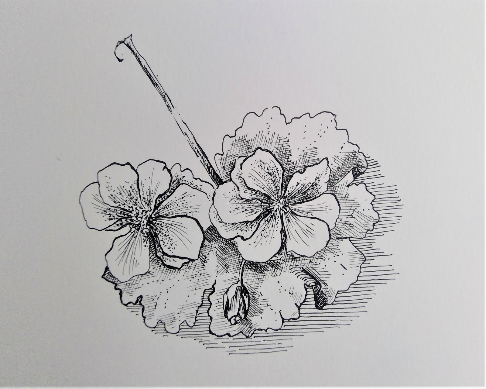 Linda Weil Fine Art: Composite Drawing