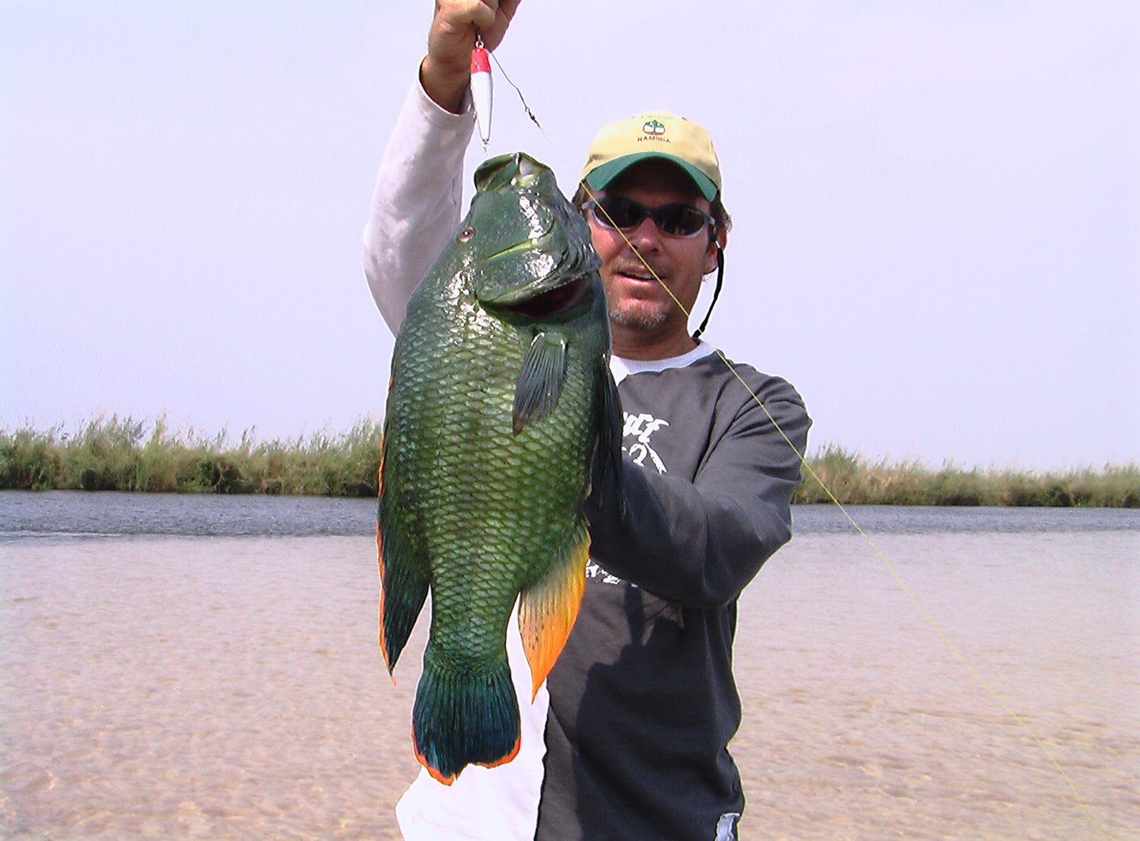Namibia Sport Fishing : About