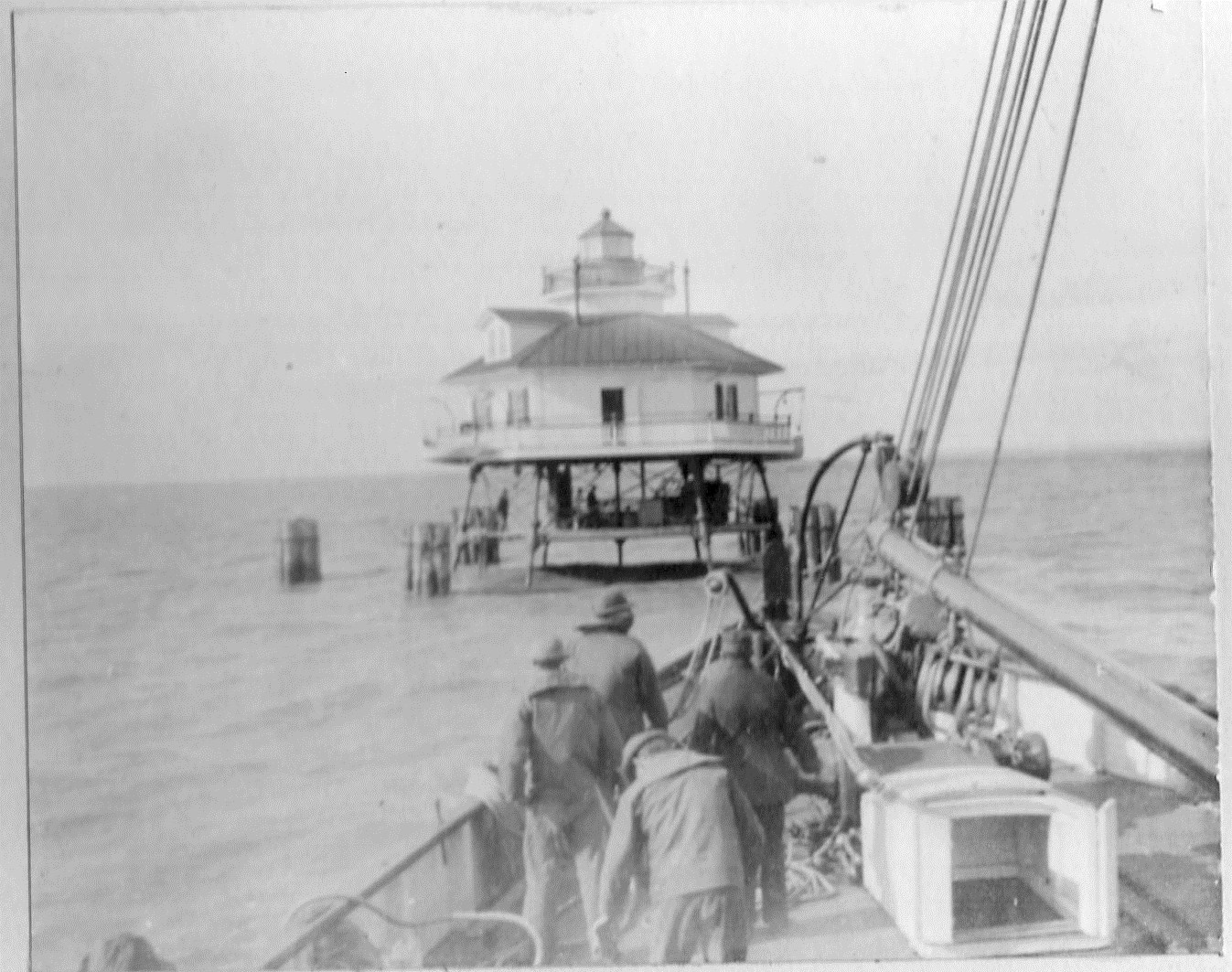 none: The Lighthouse Keeper's Chickens