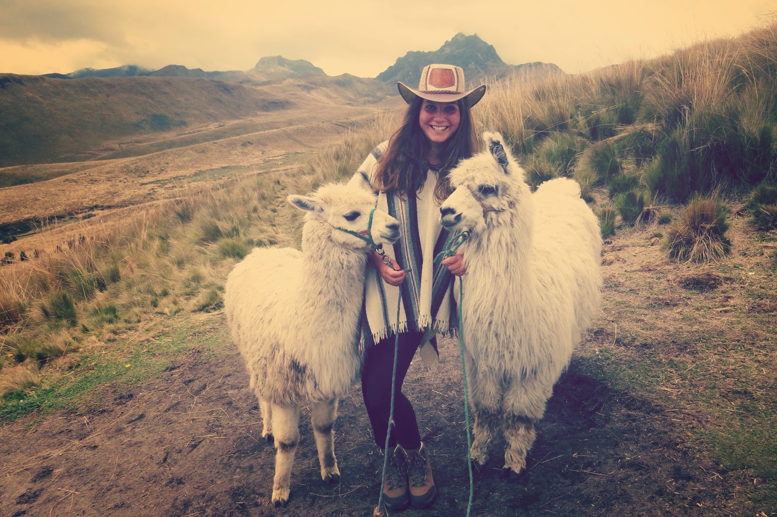 Leonie Lauren: Stimmen aus Wolfsburg - Lena Homann