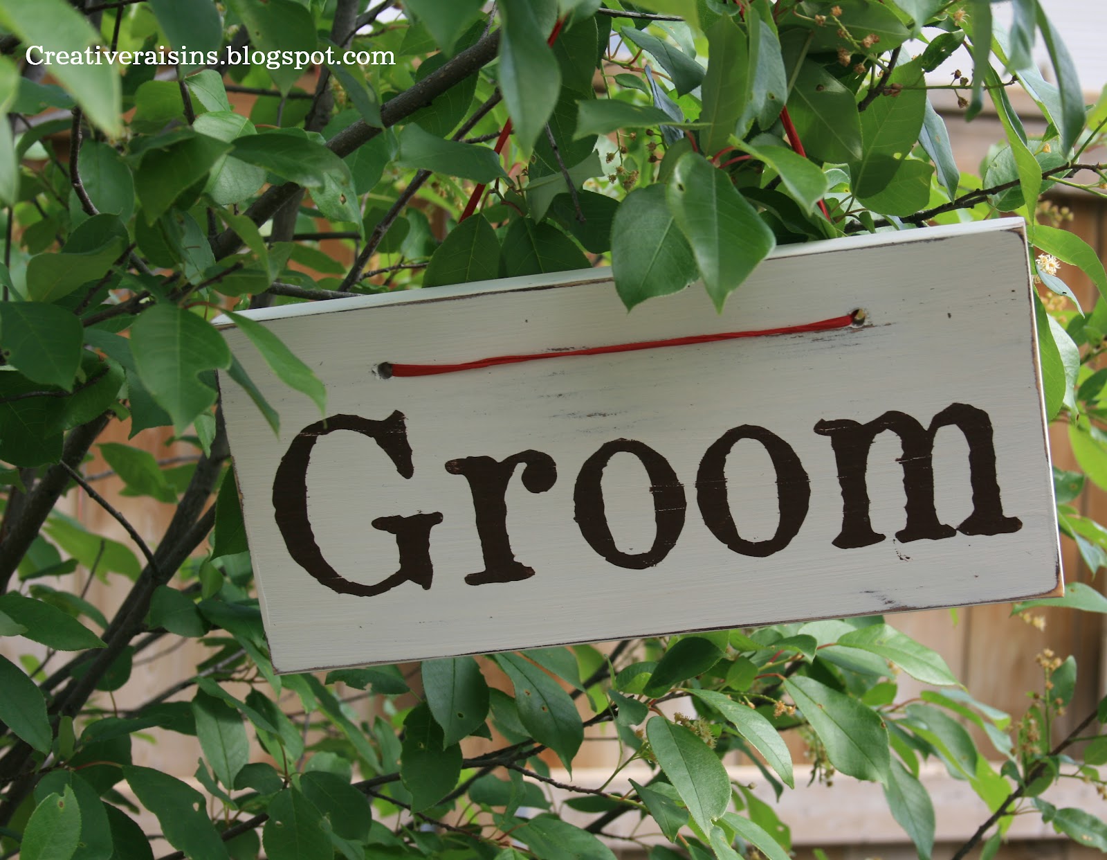 Creative Raisins: Bride & Groom Signs