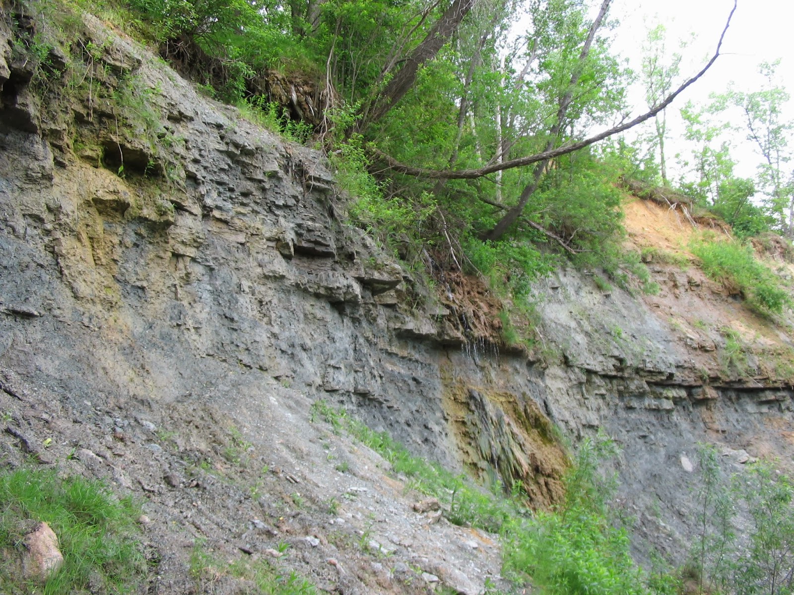 Equatorial Minnesota: The Decorah Shale