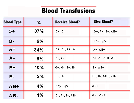 Knowledge Masters: Health