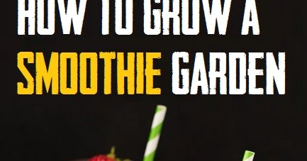 How to grow a smoothie garden