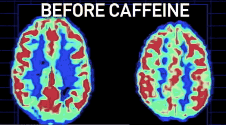 Your Brain on Caffeine | Help For Victims Of Betrayal Abuse