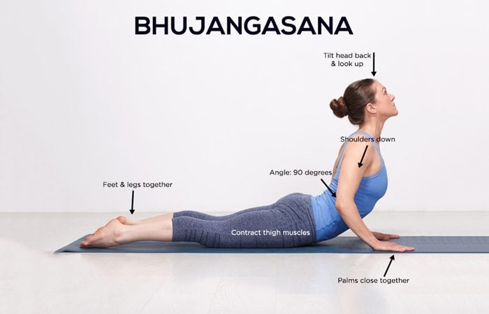 BHUJANGASANA - Bloger Akshit