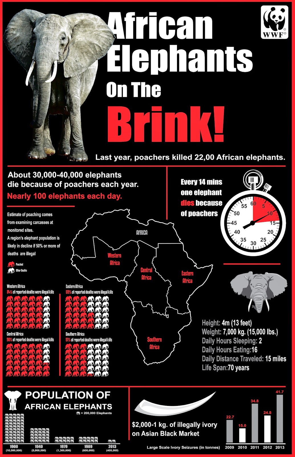 Artwork by Remps Imagination: African Elephant Infographic Poster