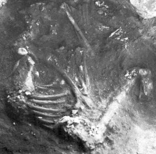 Shanidoozi: Unsolved Mysteries of Neanderthal Burial: Shanidar: A Case ...