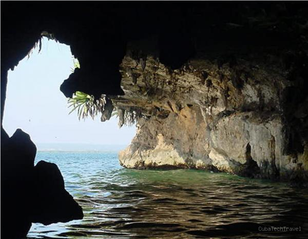 My Morning Cup: Cuban National Parks