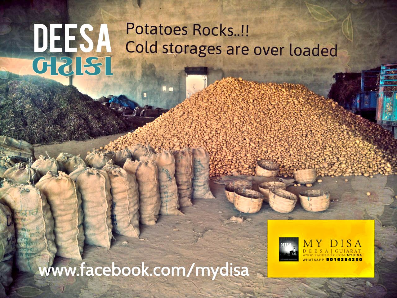 Deesa-gujarat: Deesa, Gujarat india