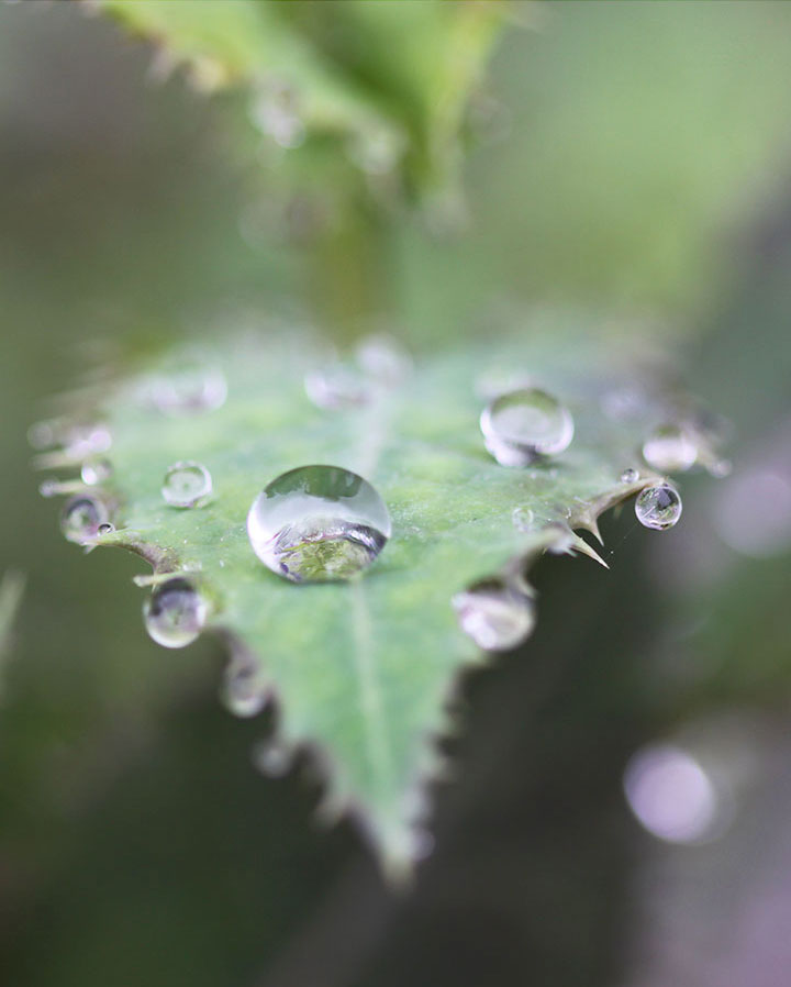 Corey Carter | Austin, Texas: Raindrop Reflection