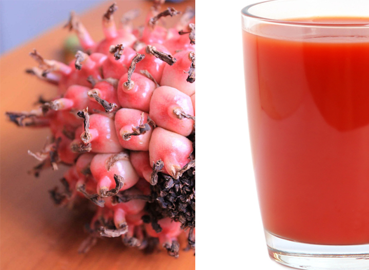 APA ITU BUAH HONJE ATAU KECOMBRANG?????