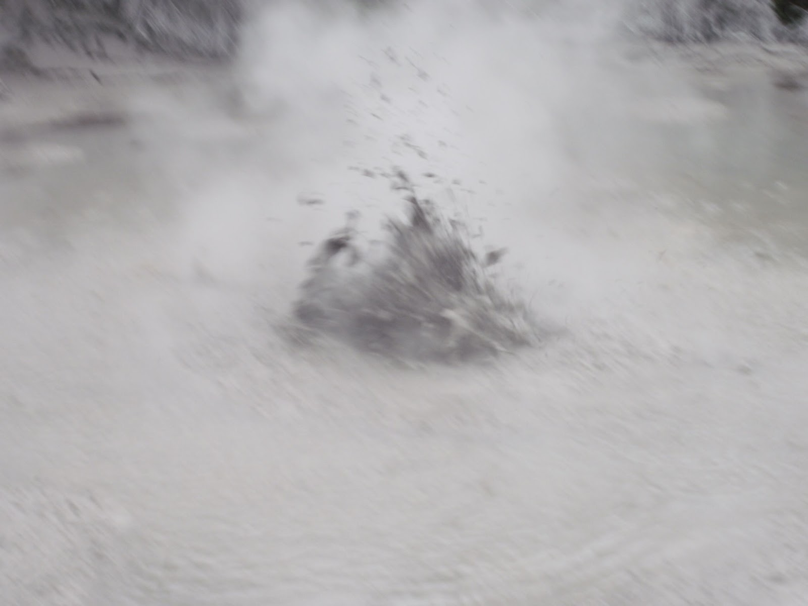 No direction home ... a complete unknown ... like a rolling luggager ...