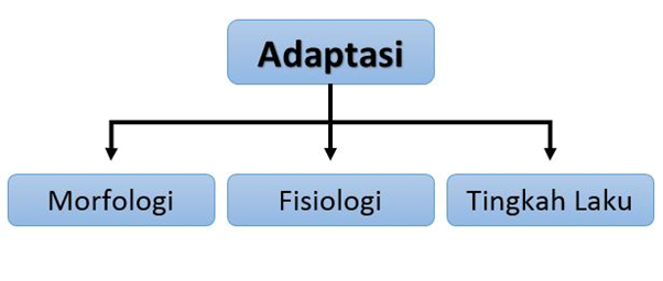 Adaptasi makhluk hidup - Lupa Tugas