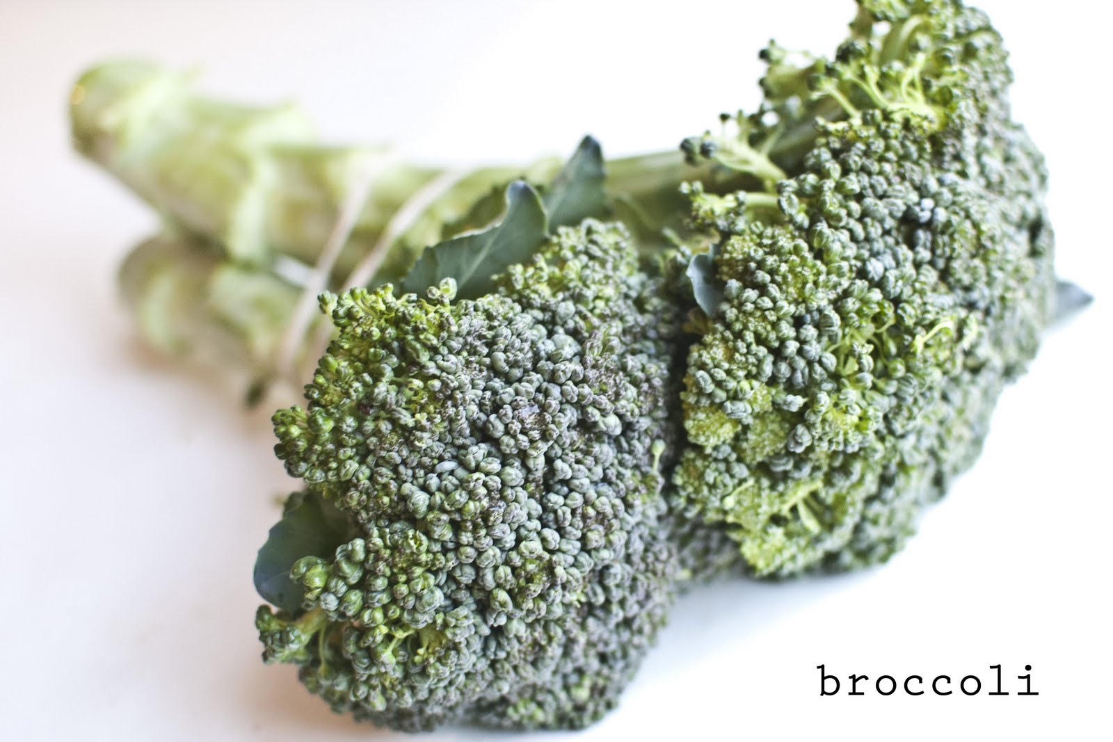 Fork it over, Boston!: The Weekly Vegetable: My first CSA!