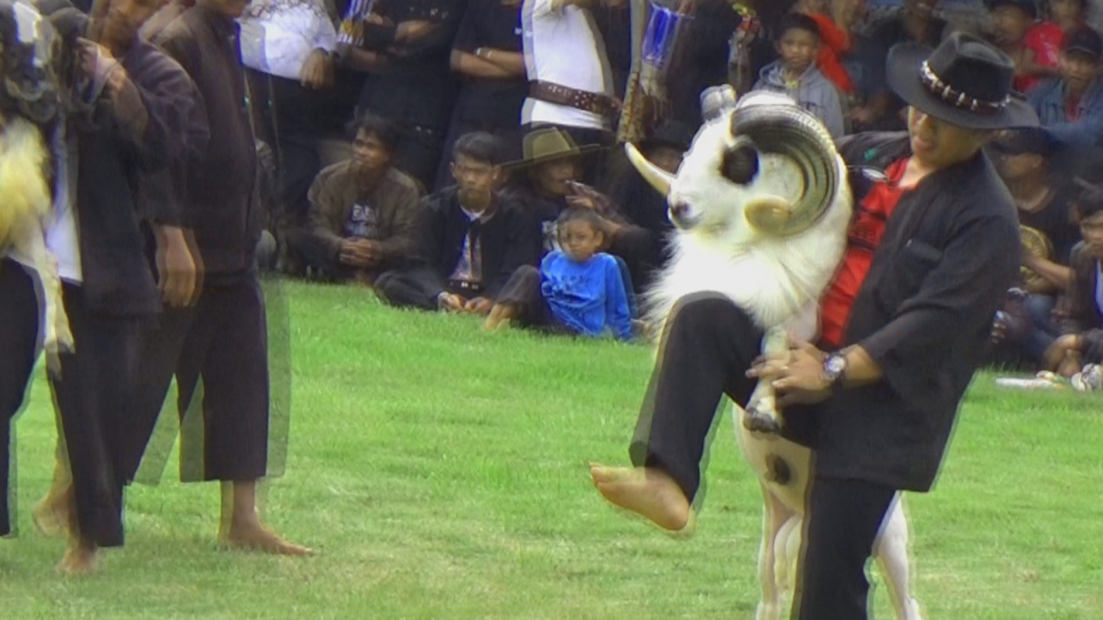 domba garut termahal matador | Komunitas Domba Garut