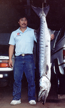 Big Fishes of the World: BARRACUDA GREAT (Sphyraena barracuda)