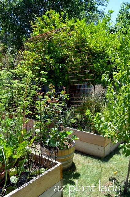 mariondee-designs: veggie patch 'garden arch' inspiration..2014