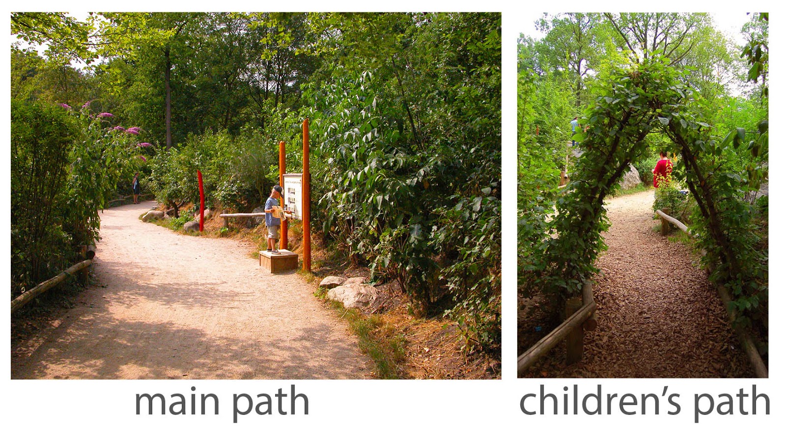Zoo and Aquarium Design: Children's Paths: A How to Guide