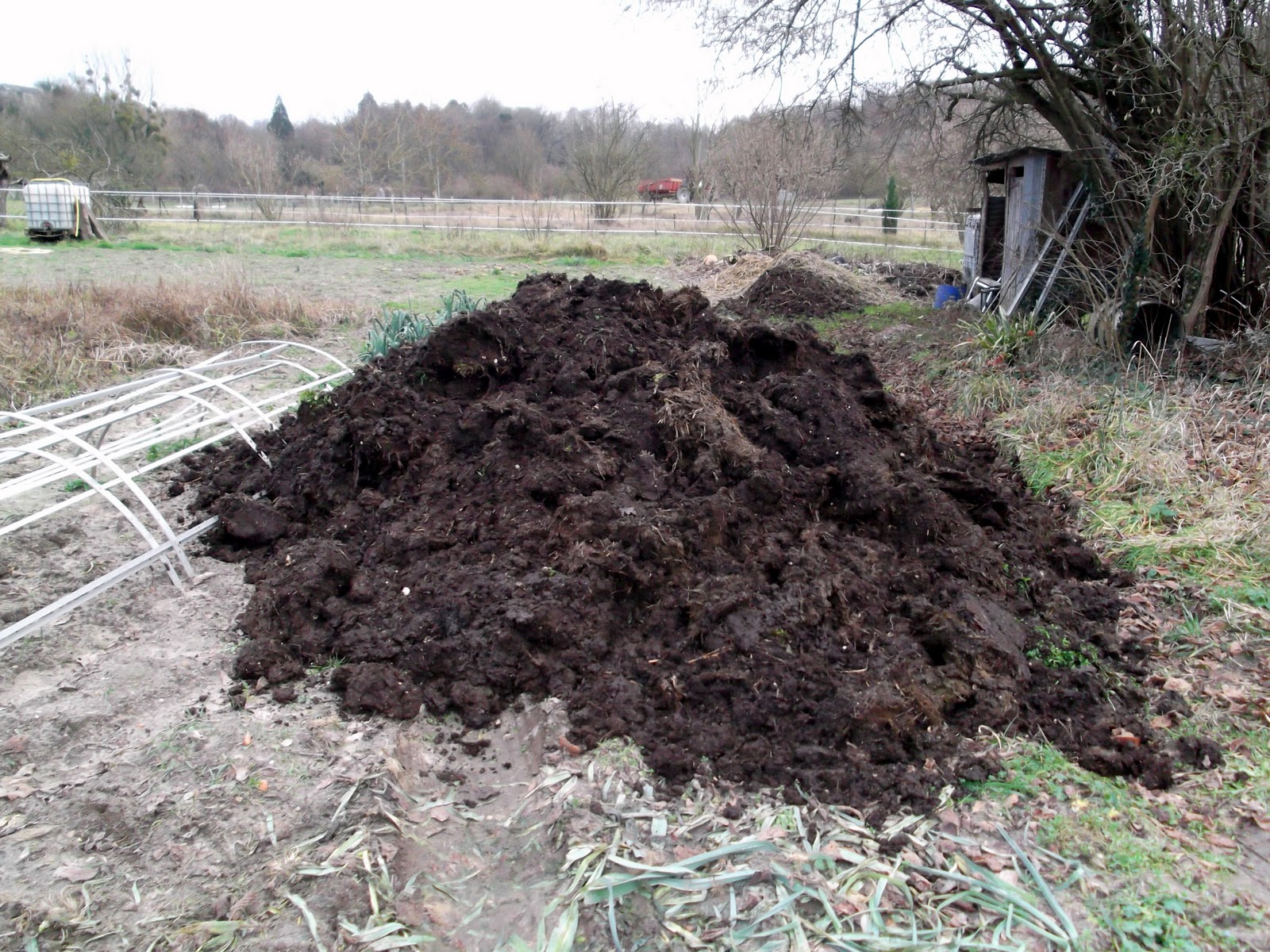 PASSION TOMATES: Arrivée du fumier de bovins ce jour