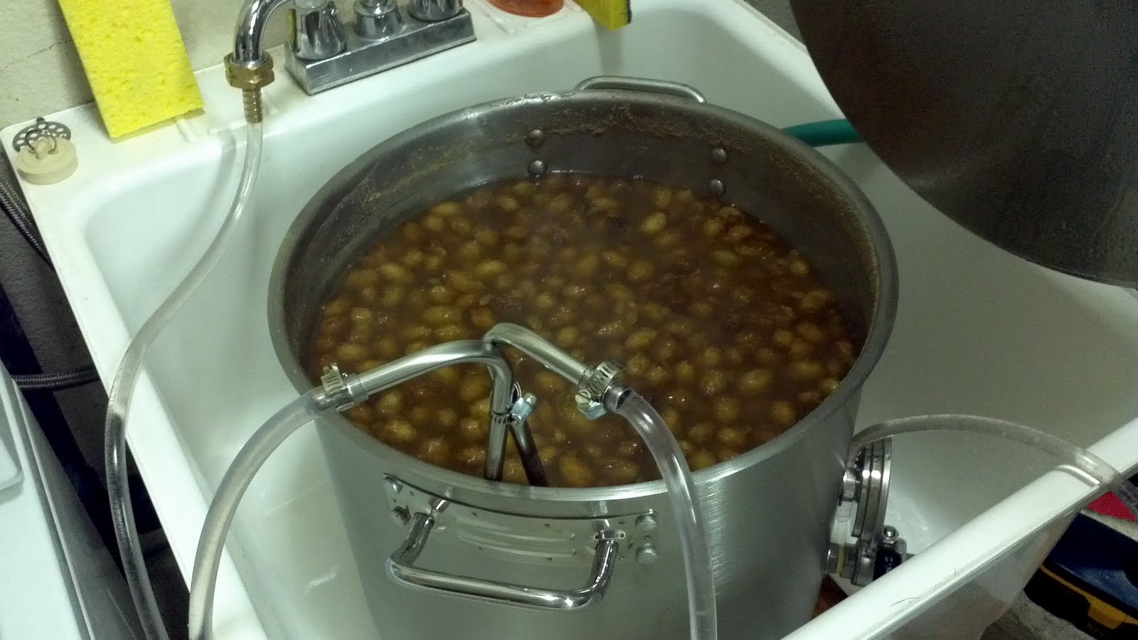 Green Parrot Brewing: GP Pale Ale brewed with Star B cascade hop plugs