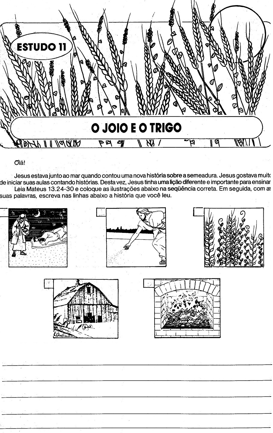 Escola Dominical Infantil: História e atividade: Parábola O joio e o trigo