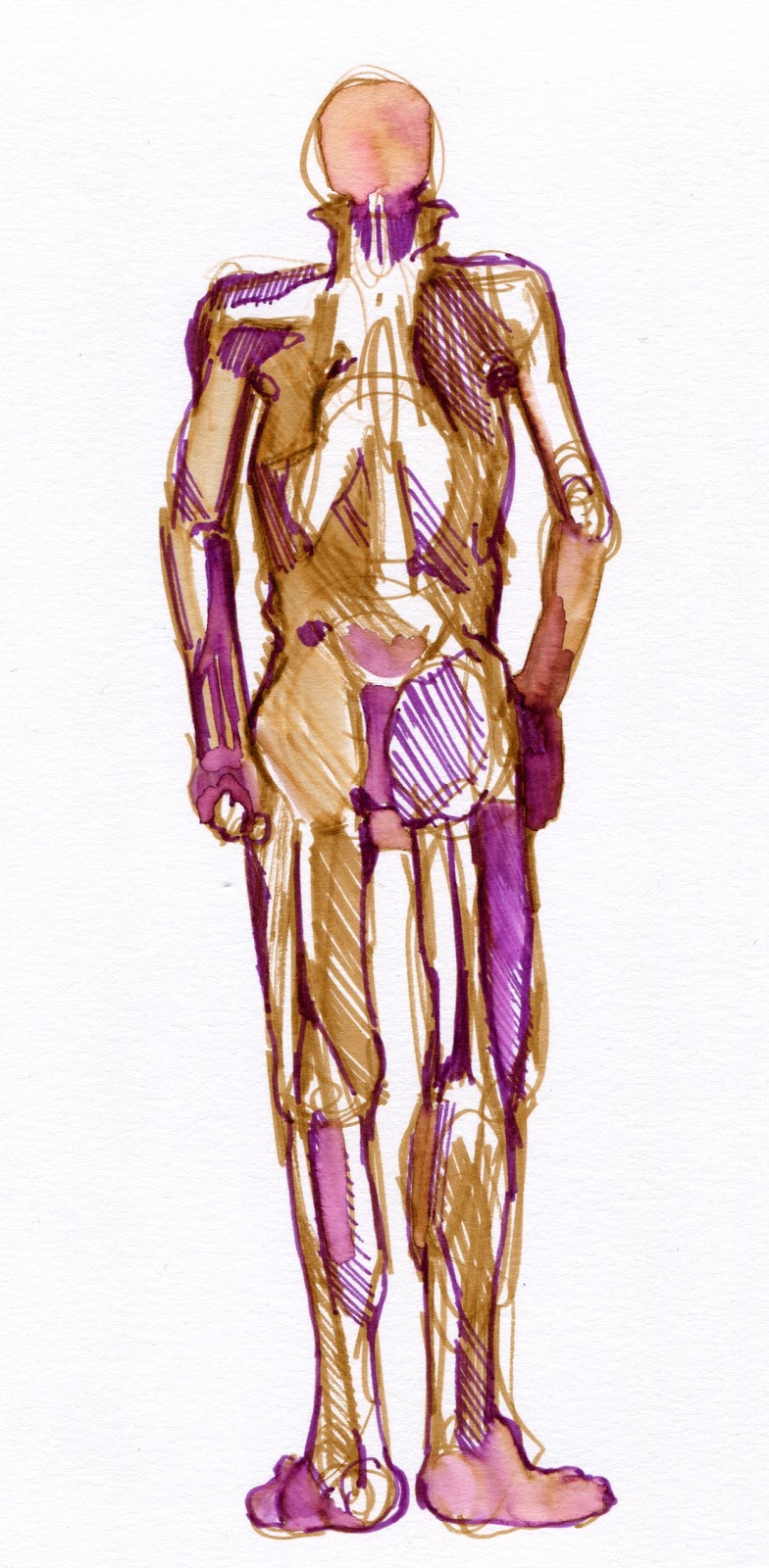 Primal Marks: Artistic Anatomy - Observation Drawings