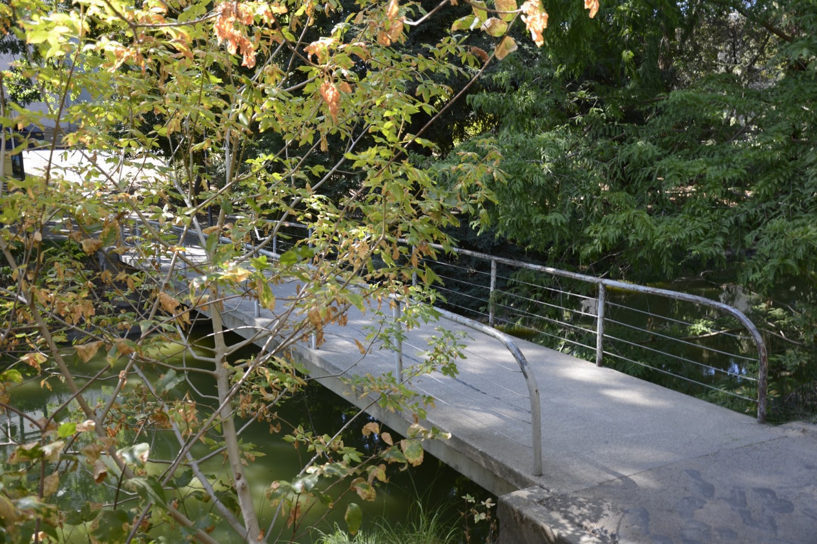 Bridge of the Week: Yolo County, California Bridges: UC Davis ...