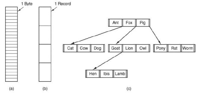 5.1.1 Describe The Three Types of File Structure