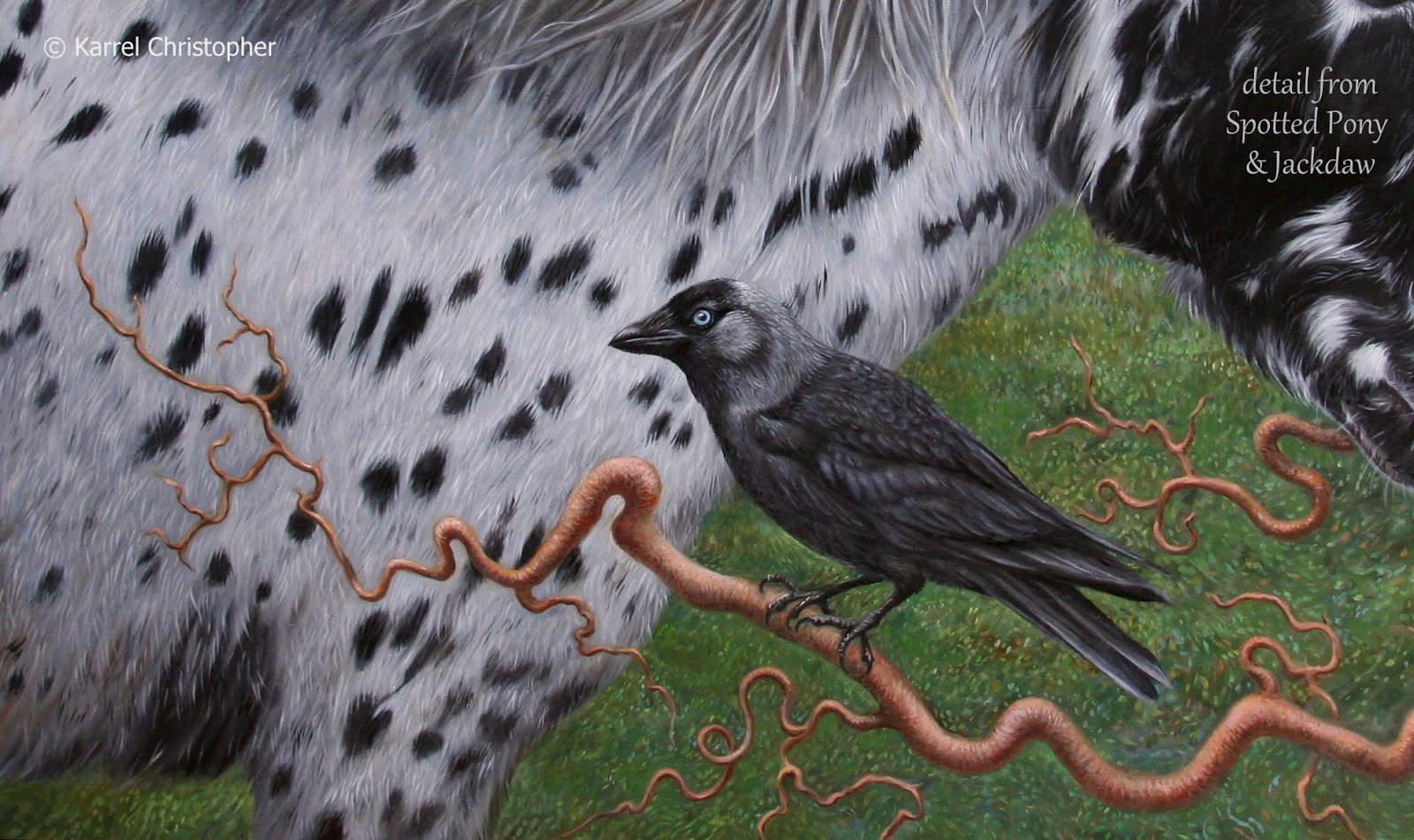 KARREL's Creative Path: Spotted Pony & Jackdaw ~ oil painting