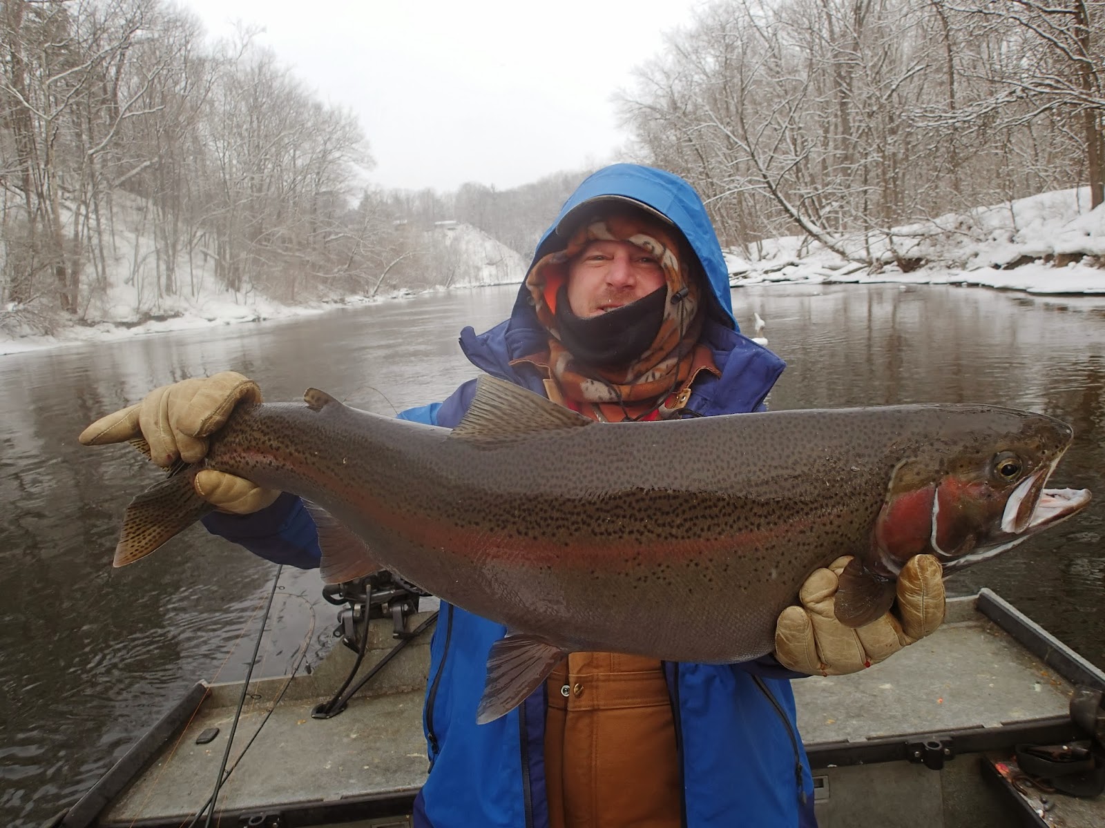 Muskegon River Guide.com: Muskegon River Steelhead Fishing